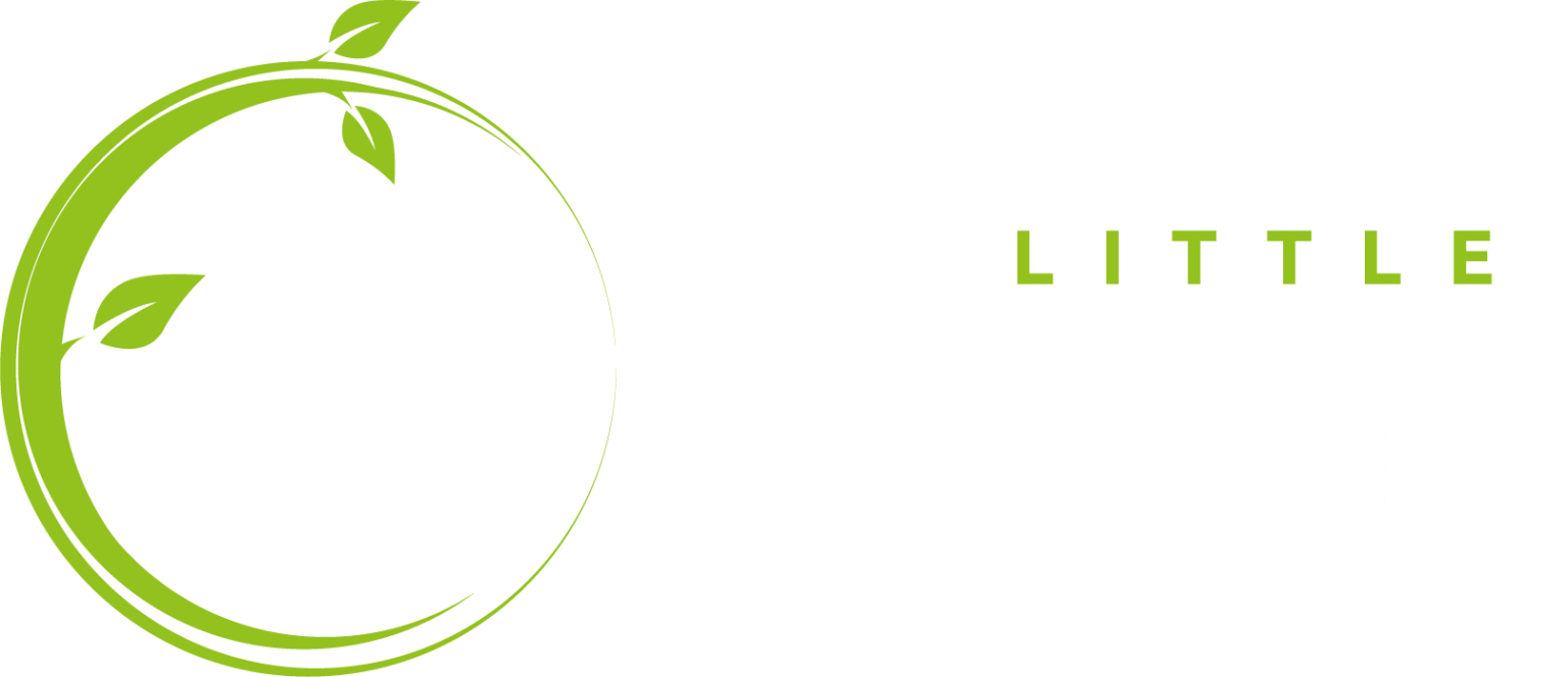 Bezahlbares Eigenheim mit Little Lodge GmbH in Melchingen